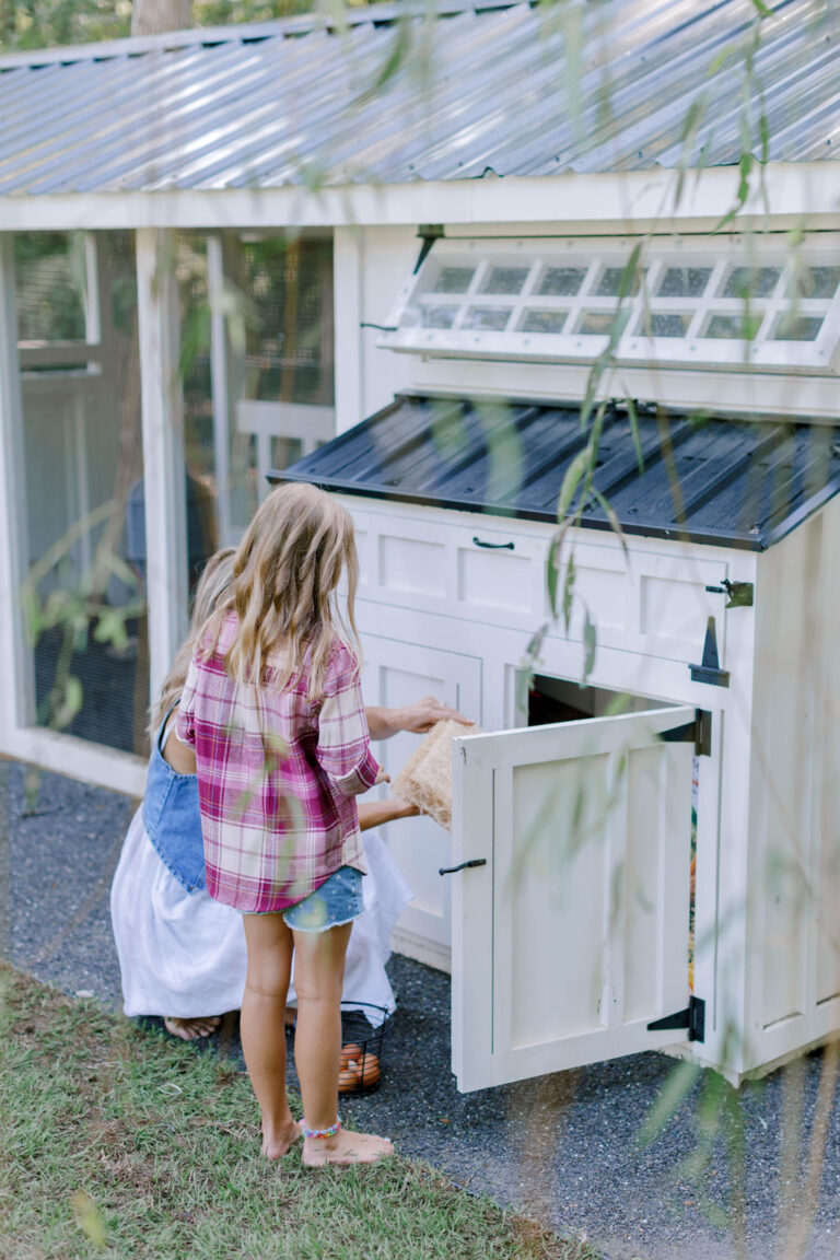 Welcome to My Crib: Chicken Coop Edition - Eva Shockey